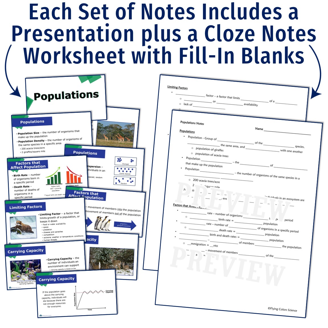 Middle School Ecosystem Notes - Flying Colors Science