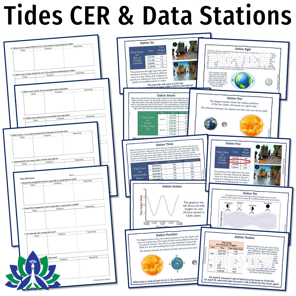 Tides Activities Bundle - Flying Colors Science