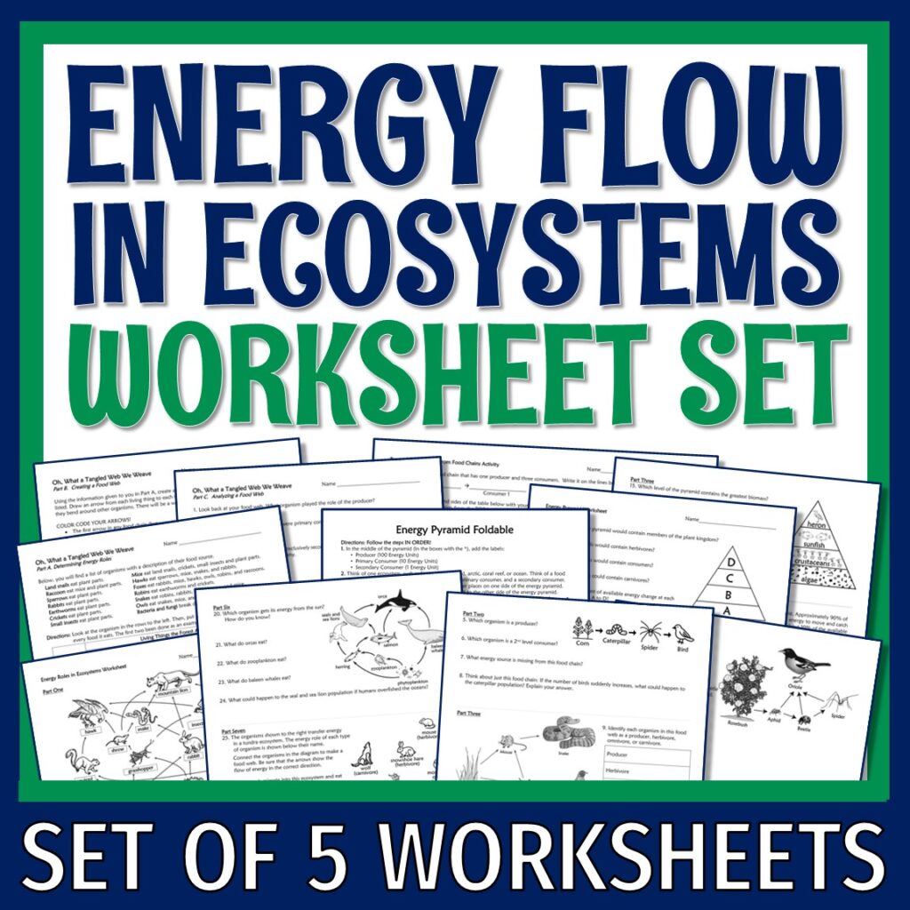 Energy Flow In Ecosystems Worksheet Set - Flying Colors Science