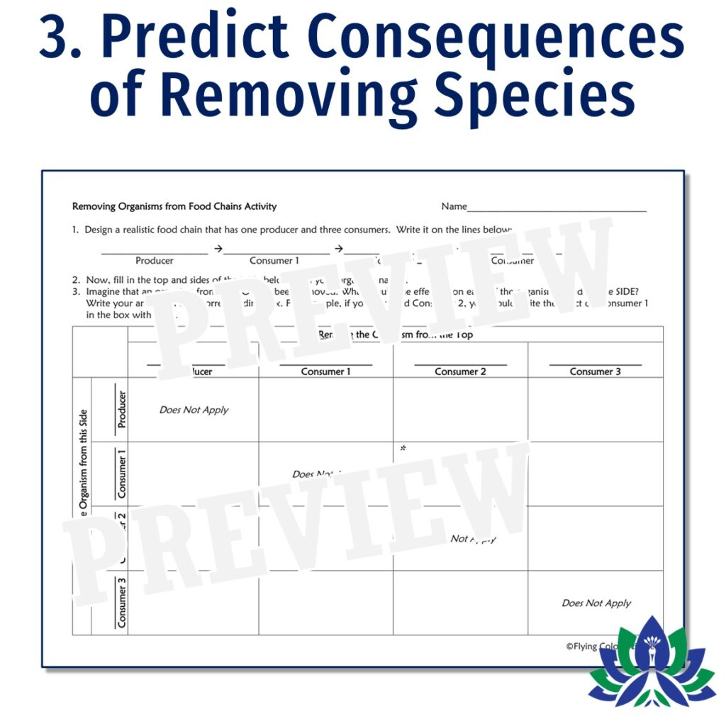 Energy Flow In Ecosystems Worksheet Set - Flying Colors Science