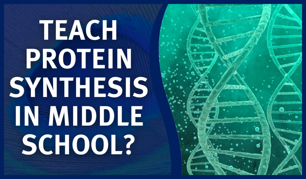 Teach Protein Synthesis in Middle School? - Flying Colors Science