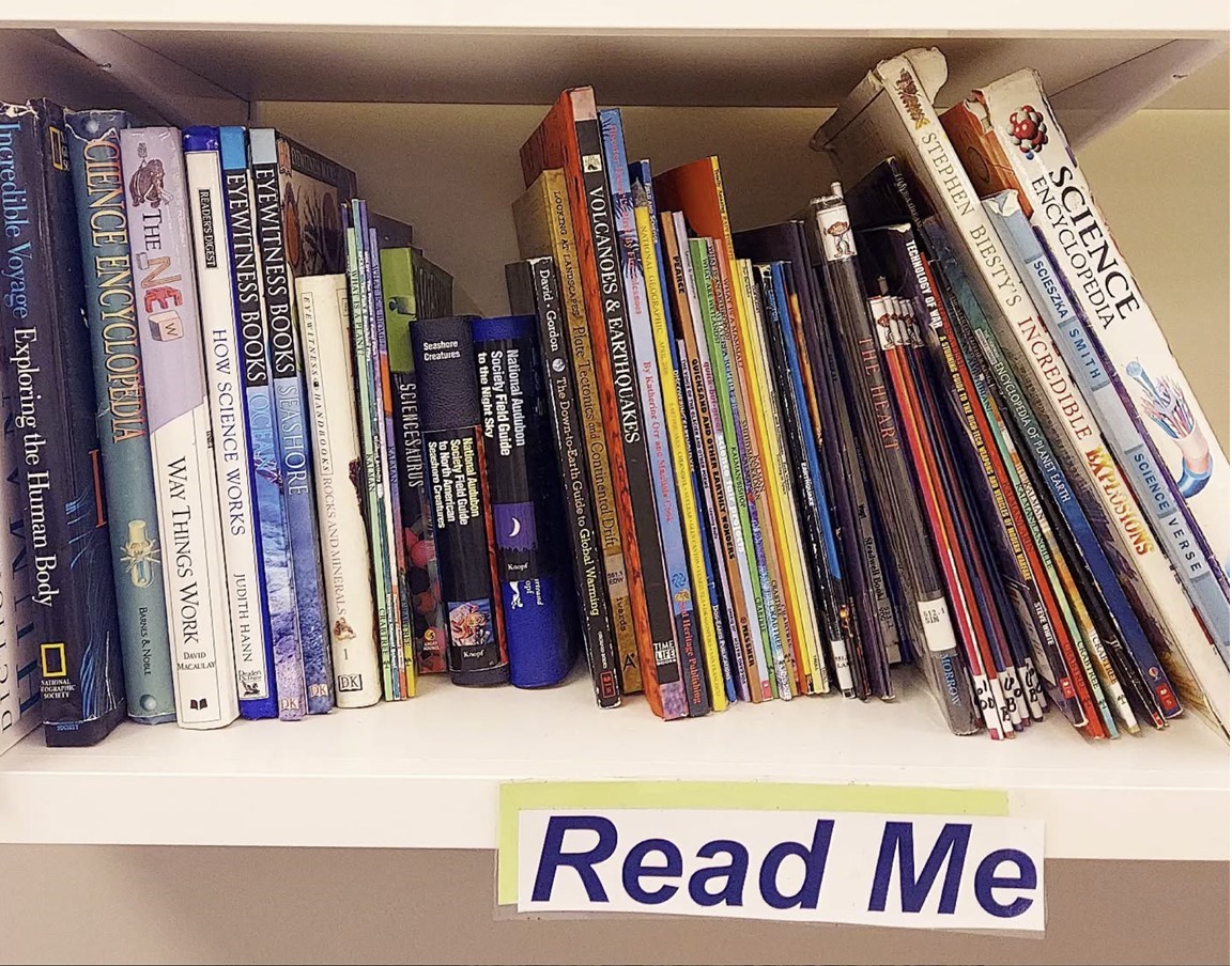 10 Engaging Fast Finisher Activities for Science - Flying Colors Science