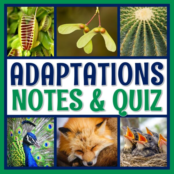 Adaptations Notes and Quiz - Flying Colors Science