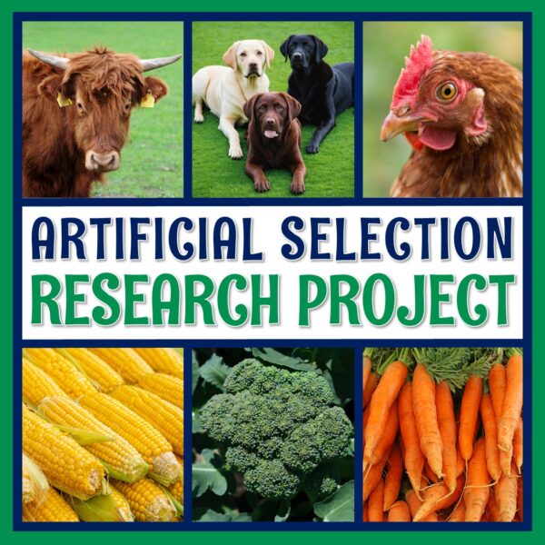 Artificial Selection Project - Flying Colors Science
