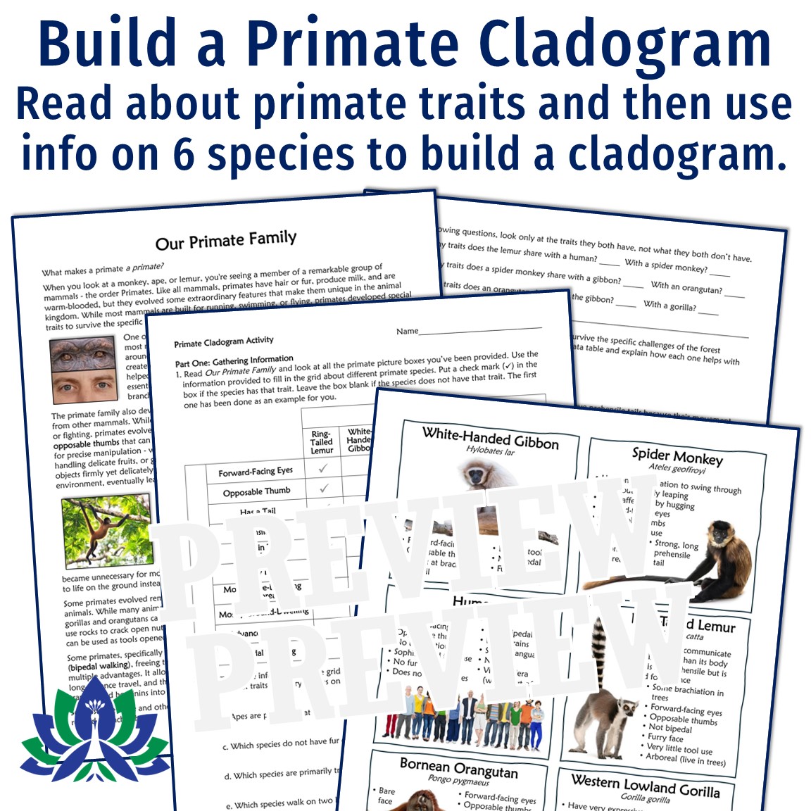 Cladogram Activities - Flying Colors Science