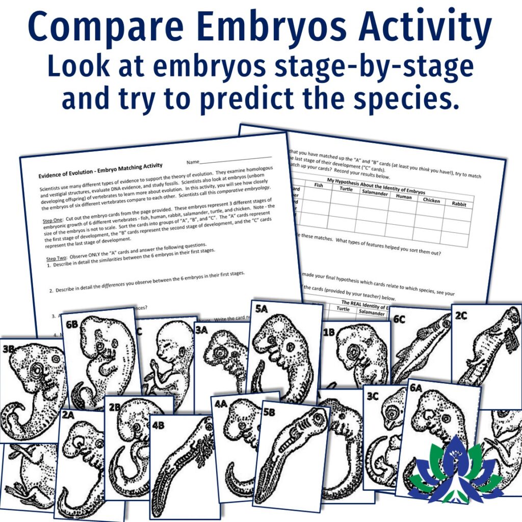 Evidence of Evolution Unit - Flying Colors Science