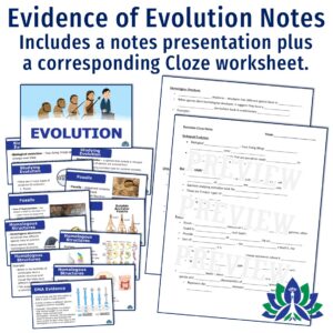 Evidence of Evolution Notes - Flying Colors Science