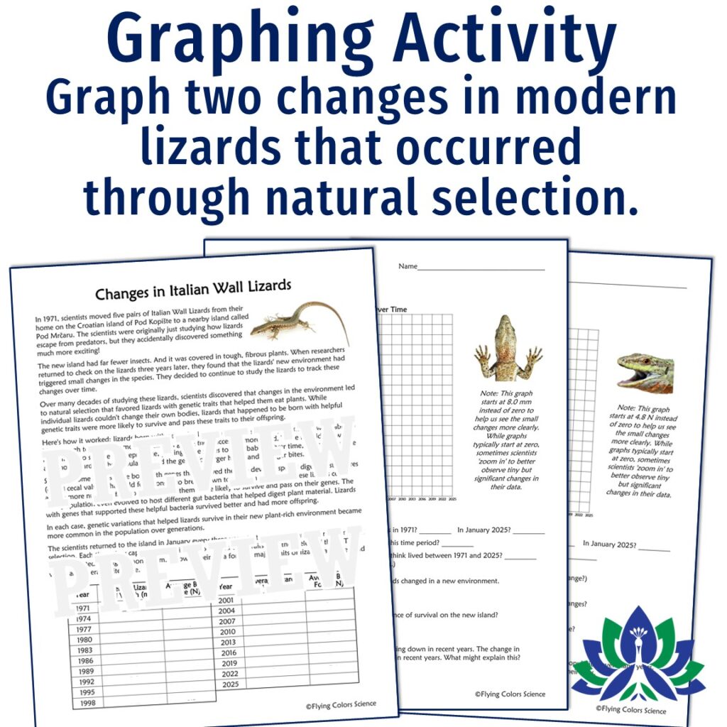 Natural Selection Activities Bundle - Flying Colors Science