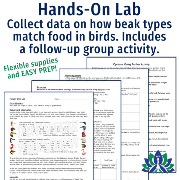 Natural Selection Activities Bundle - Flying Colors Science