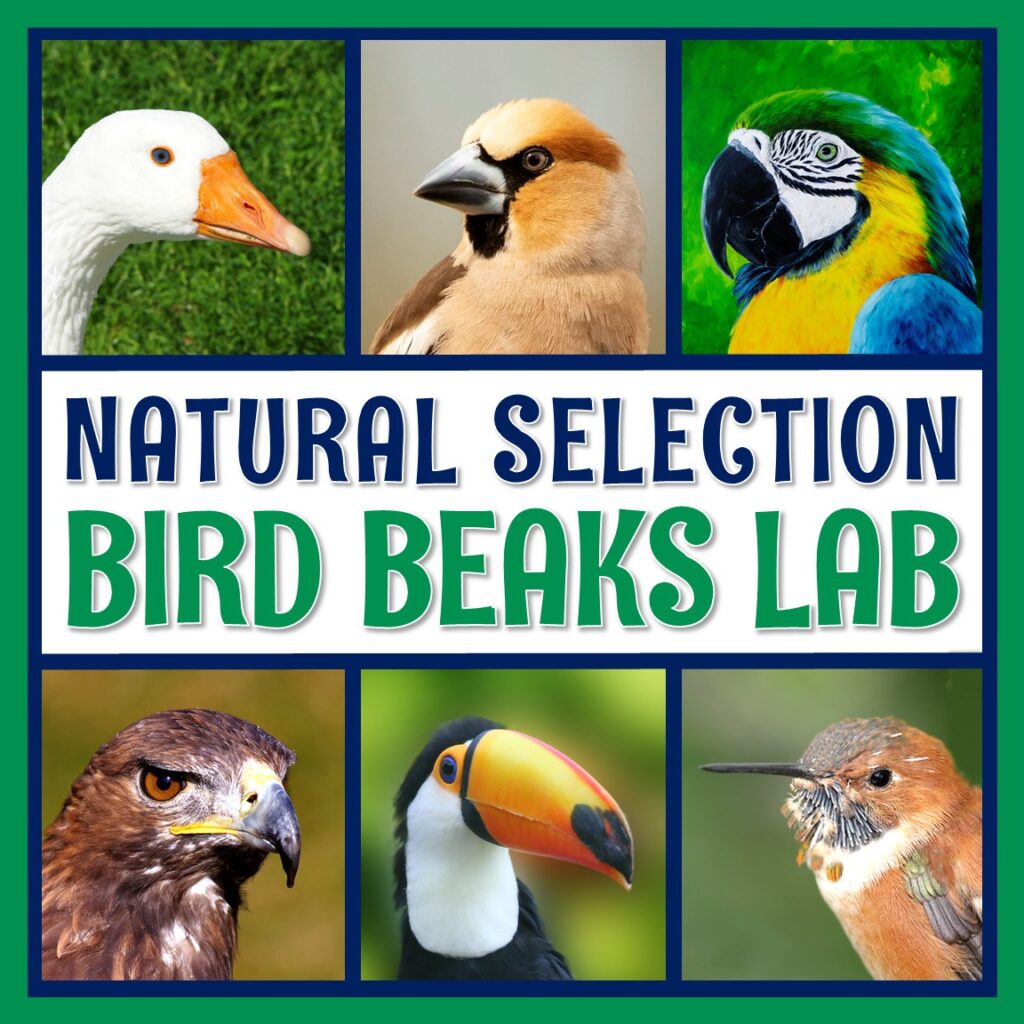 Natural Selection Lab - Flying Colors Science