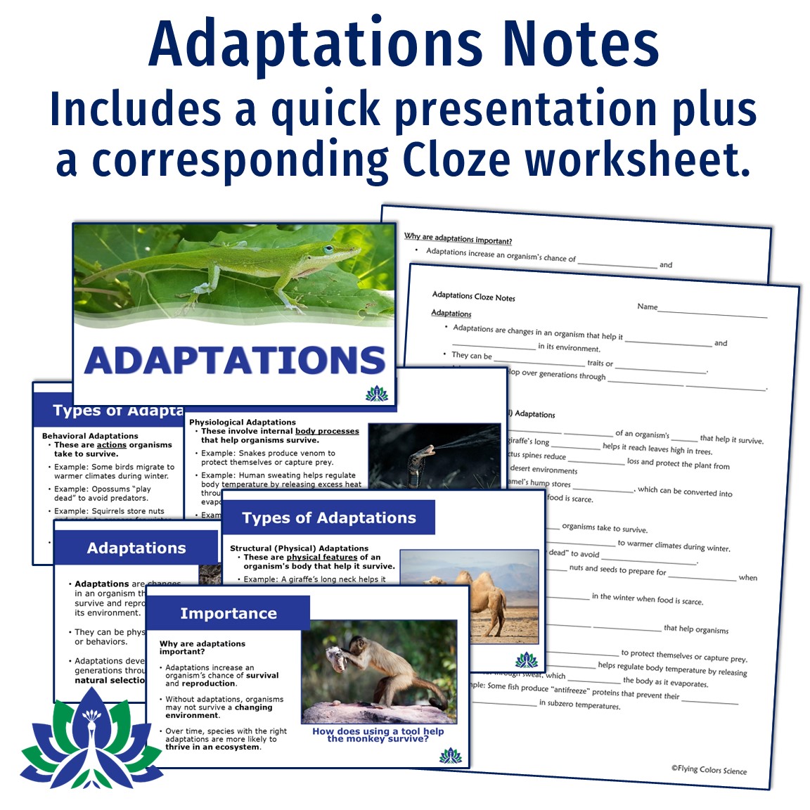 Adaptations Lessons Bundle - Flying Colors Science