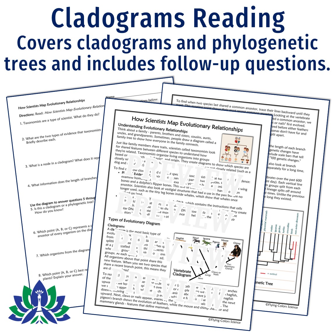 Cladograms Reading and Notes - Flying Colors Science
