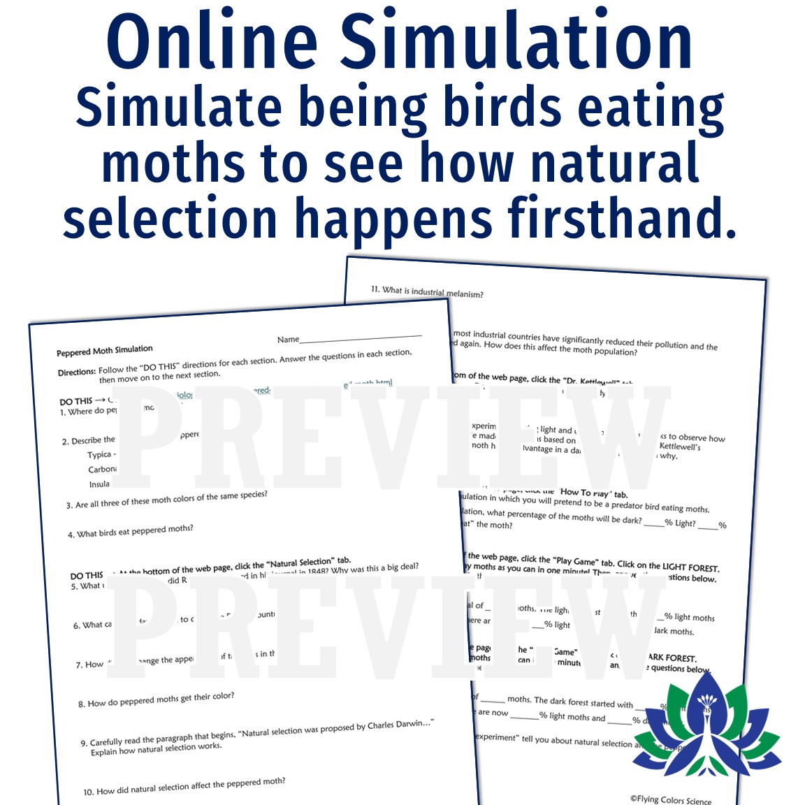 Natural Selection Activities Bundle - Flying Colors Science