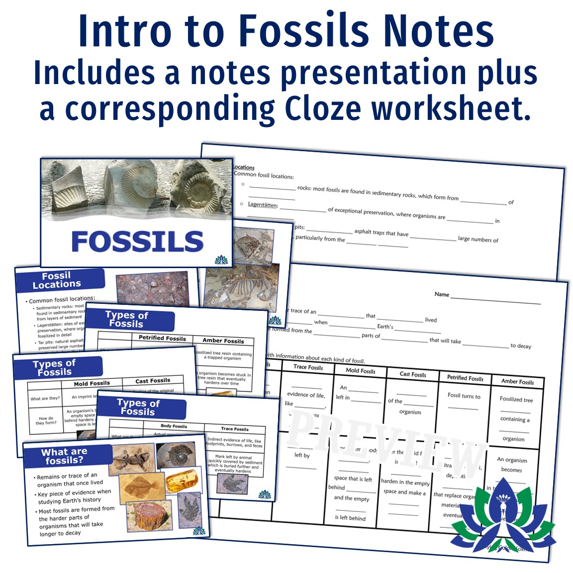 Fossils and Geologic Time Notes - Flying Colors Science