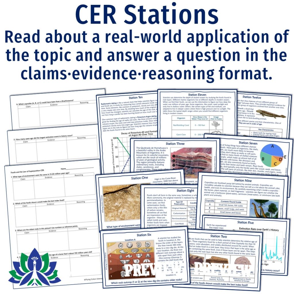 Fossils & Law Of Superposition CER Activity - Flying Colors Science