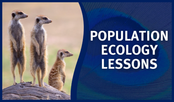 Population Ecology Activities and Lessons - Flying Colors Science