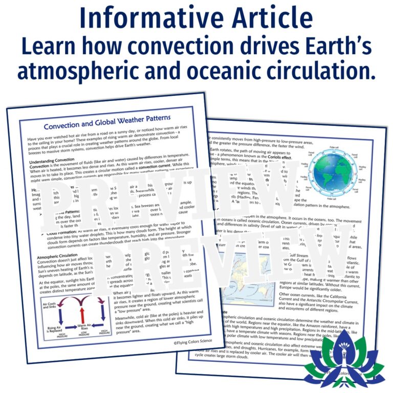 Convection and Global Weather Patterns Reading and Worksheet - Flying ...