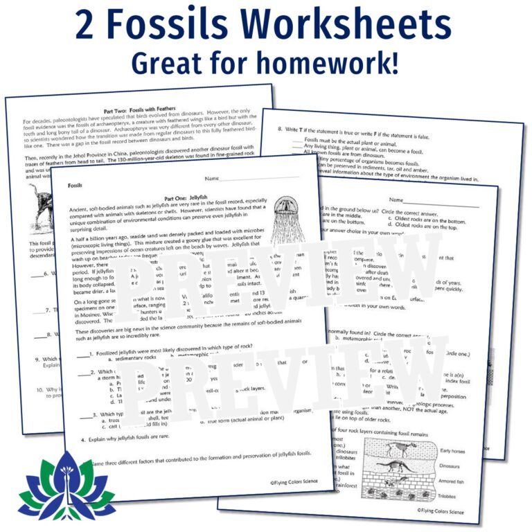 Fossils and Geologic Time Unit - Flying Colors Science