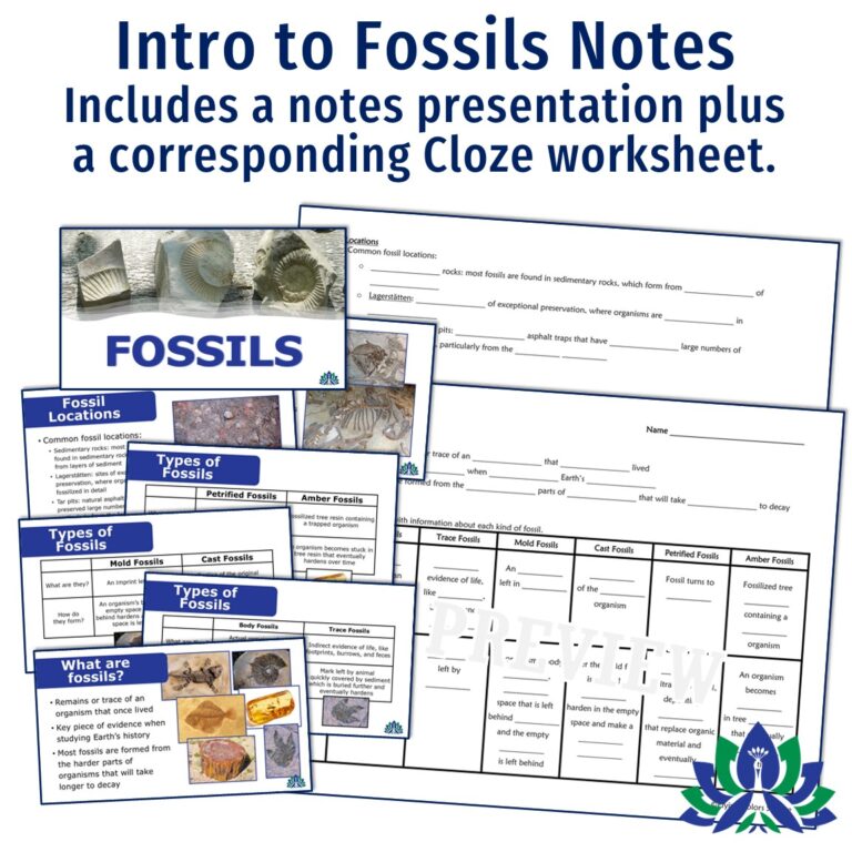 Fossils and Geologic Time Unit - Flying Colors Science
