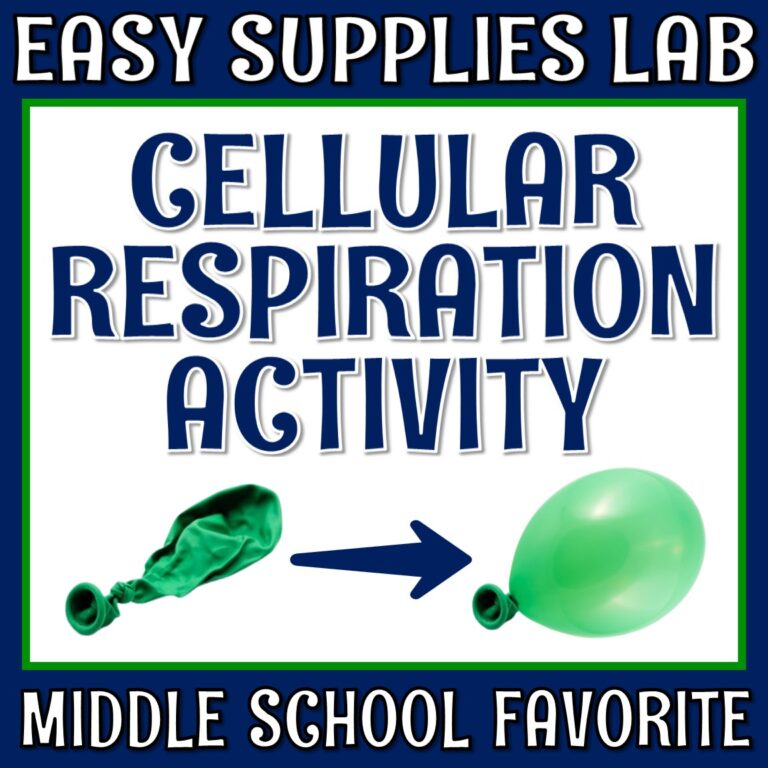 Teaching Cellular Respiration in Middle School - Flying Colors Science