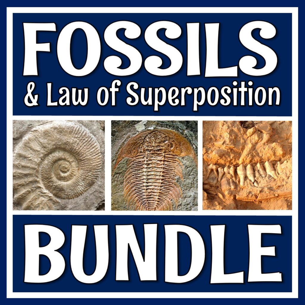 Fossil Activity Bundle - Flying Colors Science