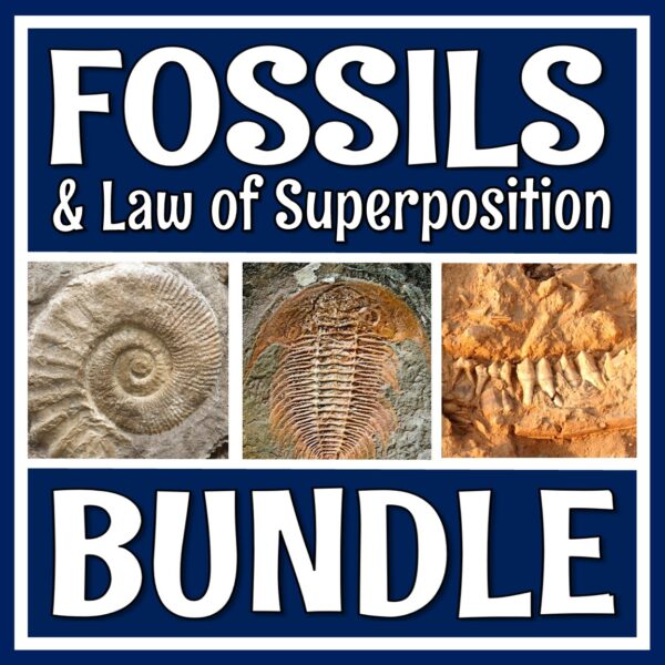Fossil Activity Bundle - Flying Colors Science