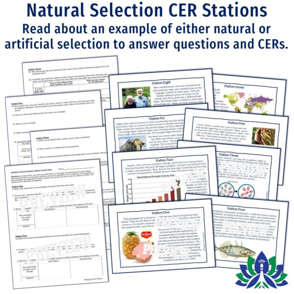 Set of 3 Evolution CER Activities - Flying Colors Science