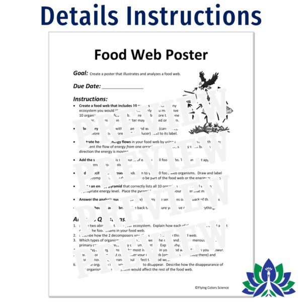 Food Webs Project - Flying Colors Science