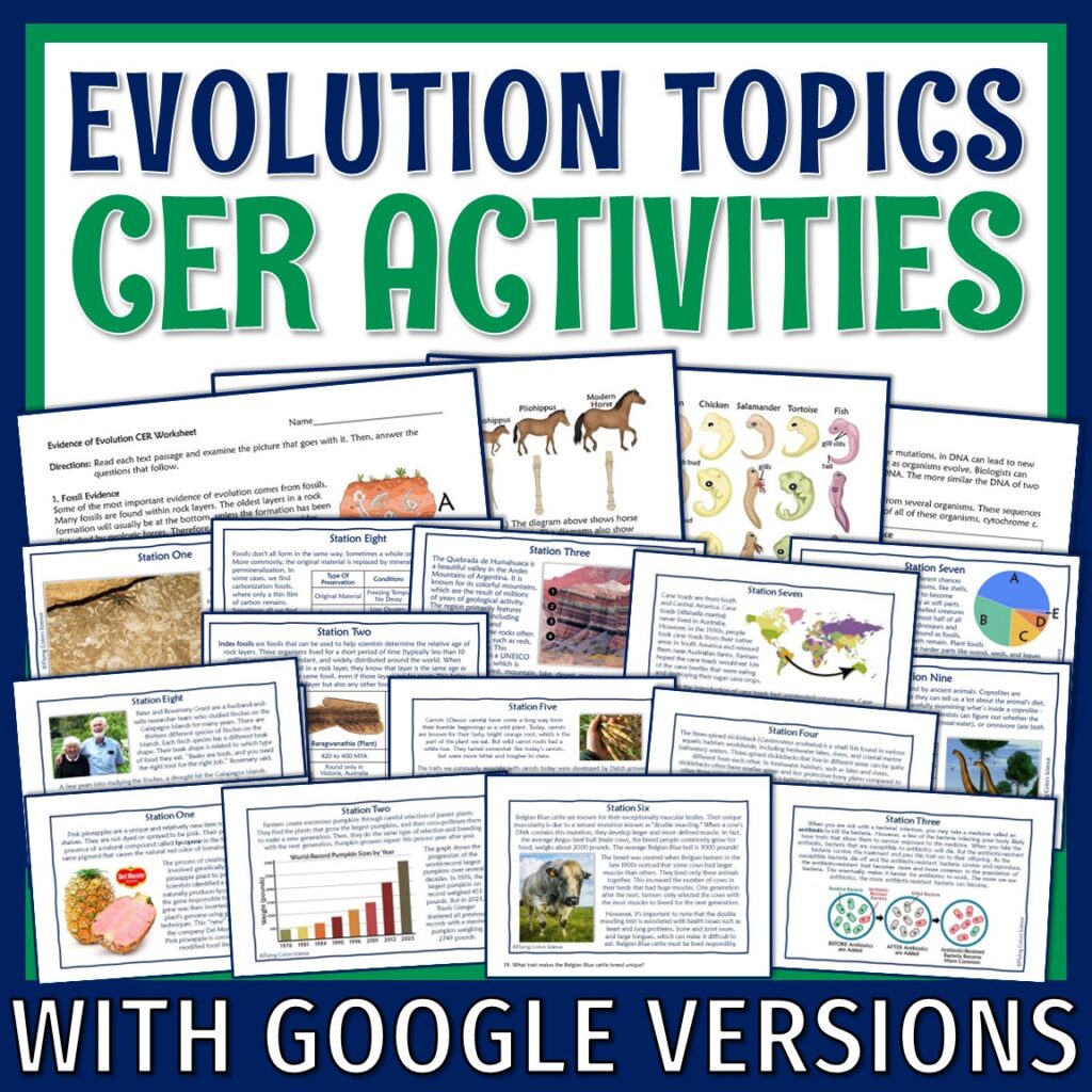 Set of 3 Evolution CER Activities - Flying Colors Science