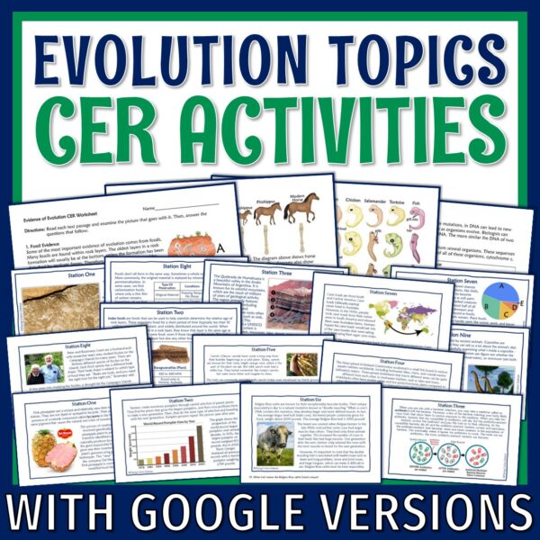 Set of 3 Evolution CER Activities - Flying Colors Science