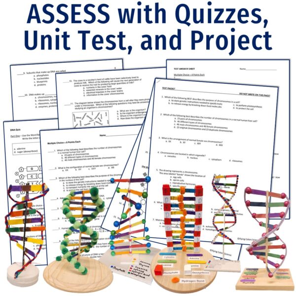 DNA and Chromosomes Unit for Middle School - Flying Colors Science