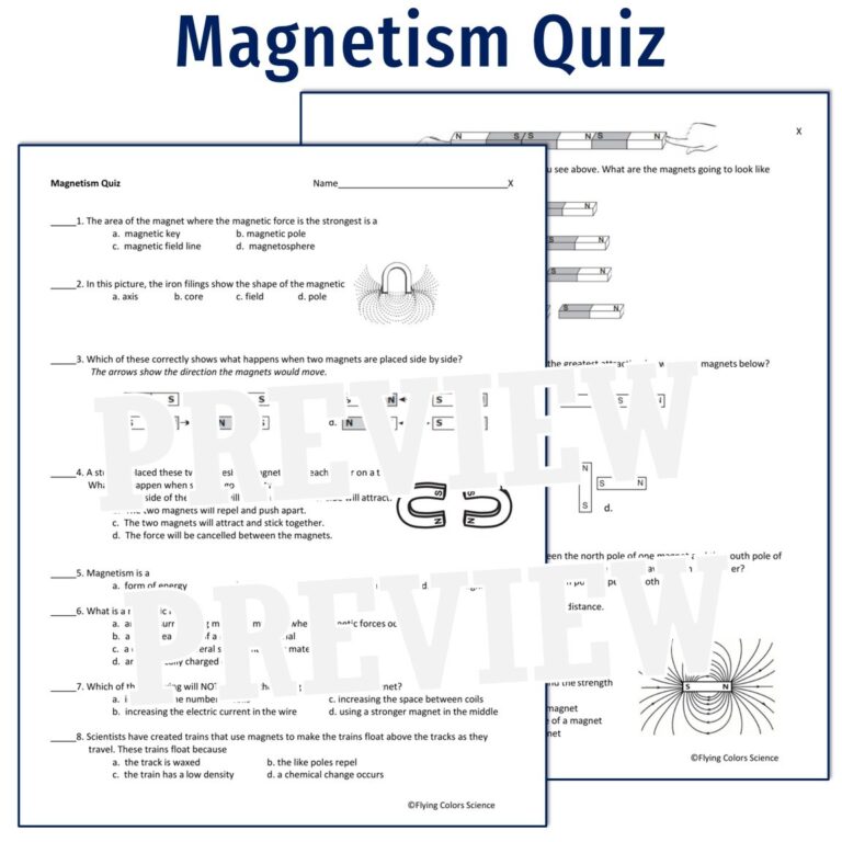 Magnets and Magnetism Activities - Flying Colors Science