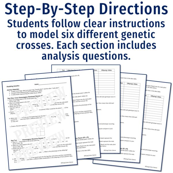 Hands-On Modeling Punnett Squares Activity - Flying Colors Science