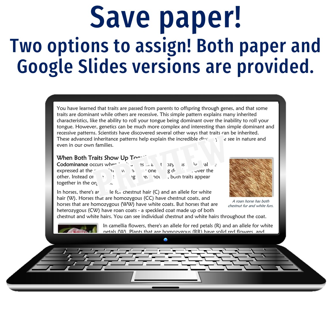 Non-Mendelian Genetics Reading for Middle School - Flying Colors Science