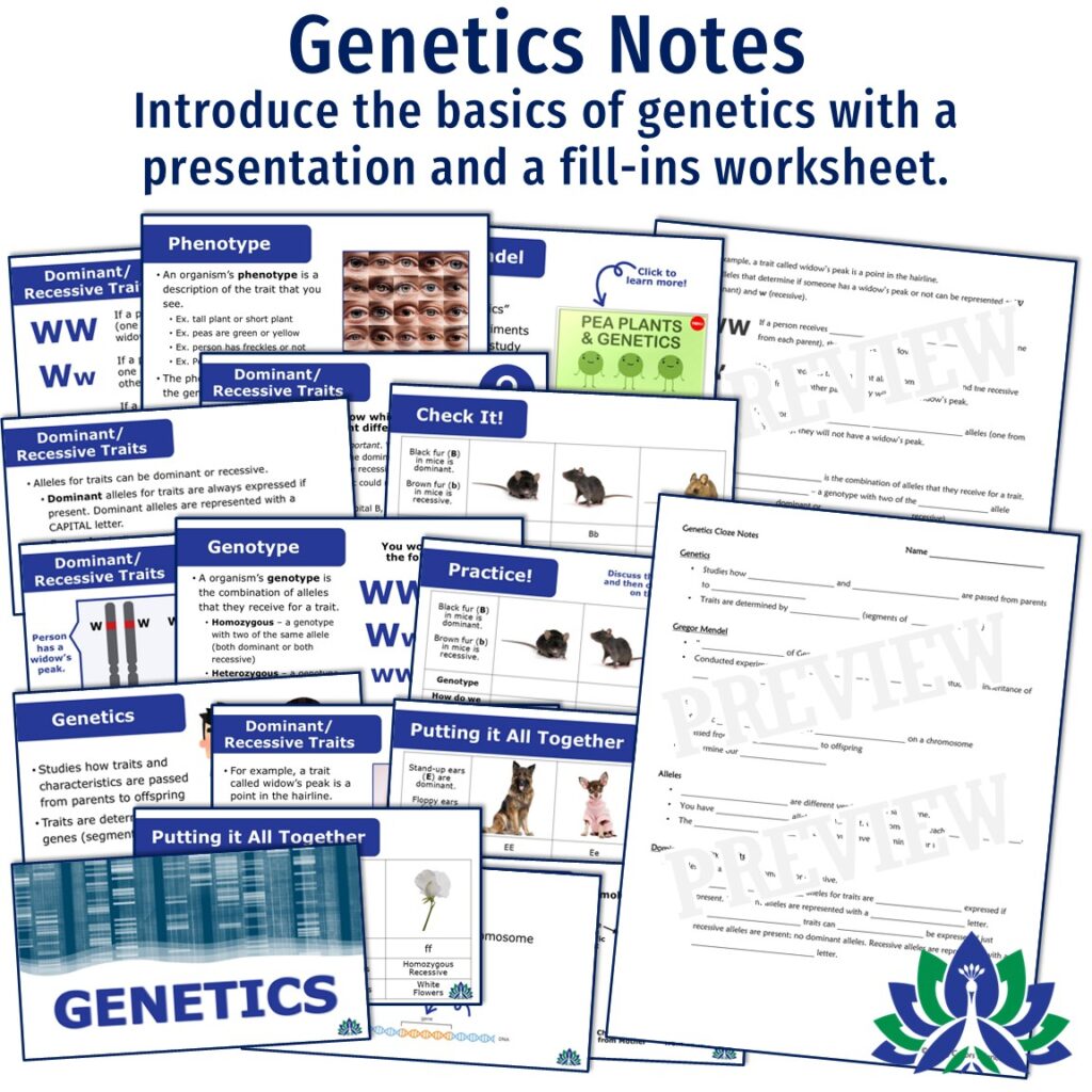 Middle School Genetics Unit - Flying Colors Science