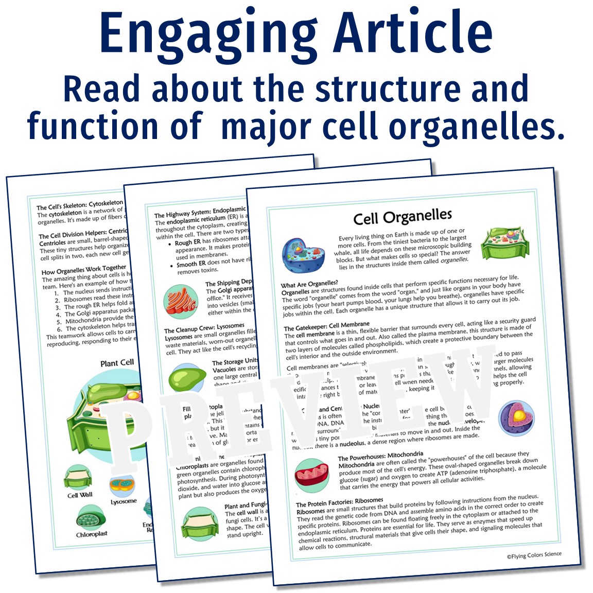 Organelles Reading & Worksheet - Flying Colors Science