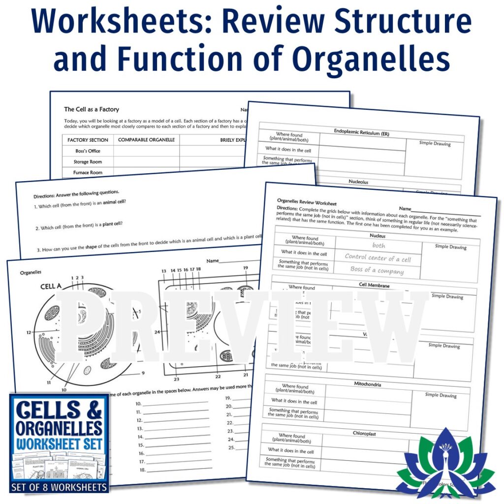 Cells & Organelles Unit - Flying Colors Science