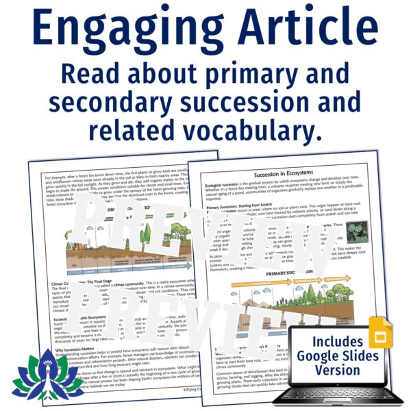 Ecological Succession Reading and Worksheet - Flying Colors Science