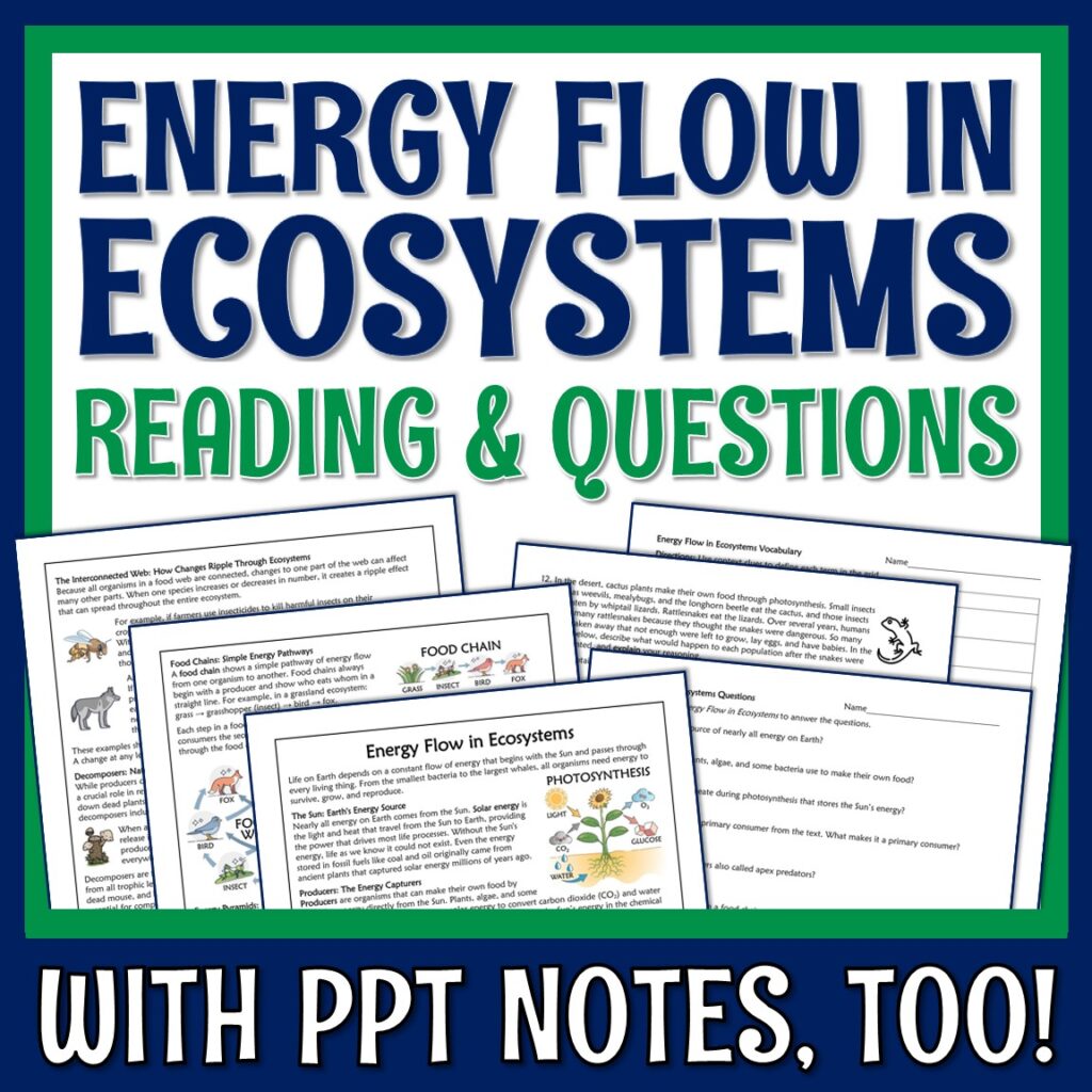 Energy Flow in Ecosystems Reading and Worksheet - Flying Colors Science