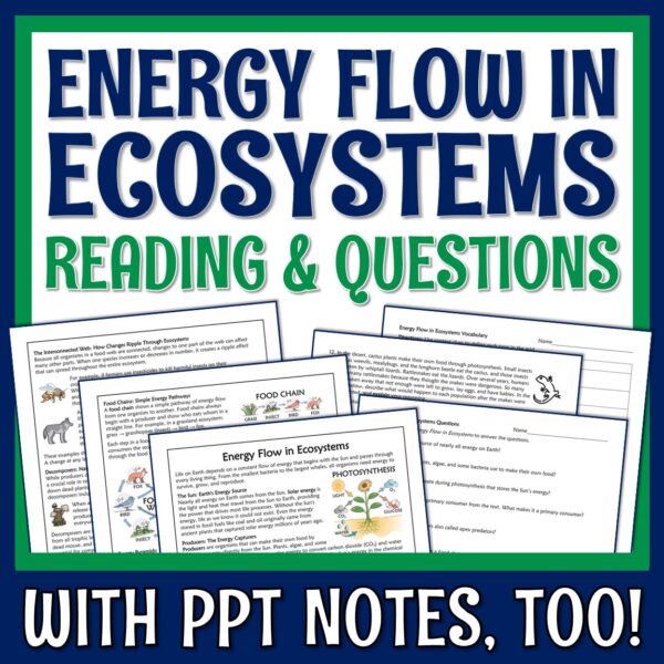 Energy Flow in Ecosystems Reading and Worksheet - Flying Colors Science