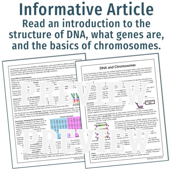 DNA and Chromosomes Reading & Worksheet - Flying Colors Science
