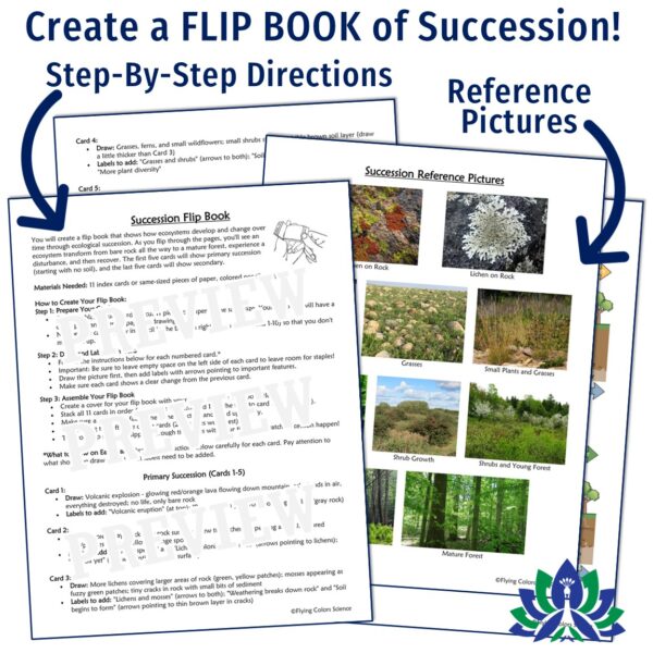 Ecological Succession Activity - Flying Colors Science