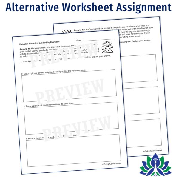 Ecological Succession Activity - Flying Colors Science