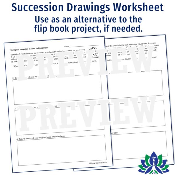 Ecological Succession Activities Bundle - Flying Colors Science
