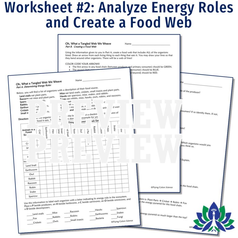 Energy Flow in Ecosystems Activity Bundle - Flying Colors Science