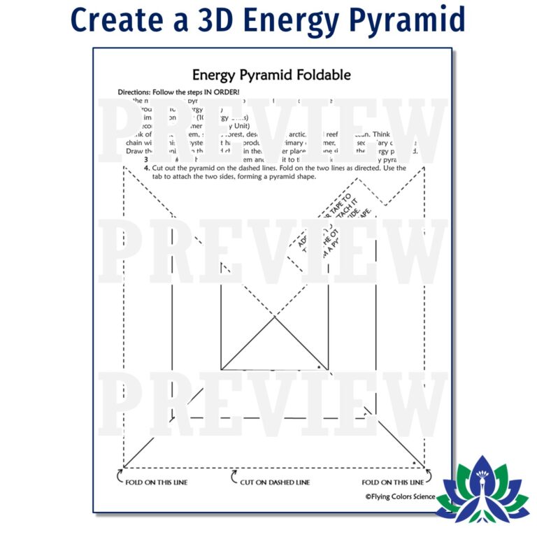 Energy Flow in Ecosystems Activity Bundle - Flying Colors Science