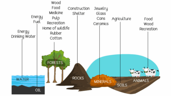 Natural Resources - Flying Colors Science