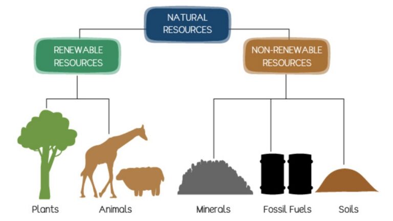 Natural Resources - Flying Colors Science