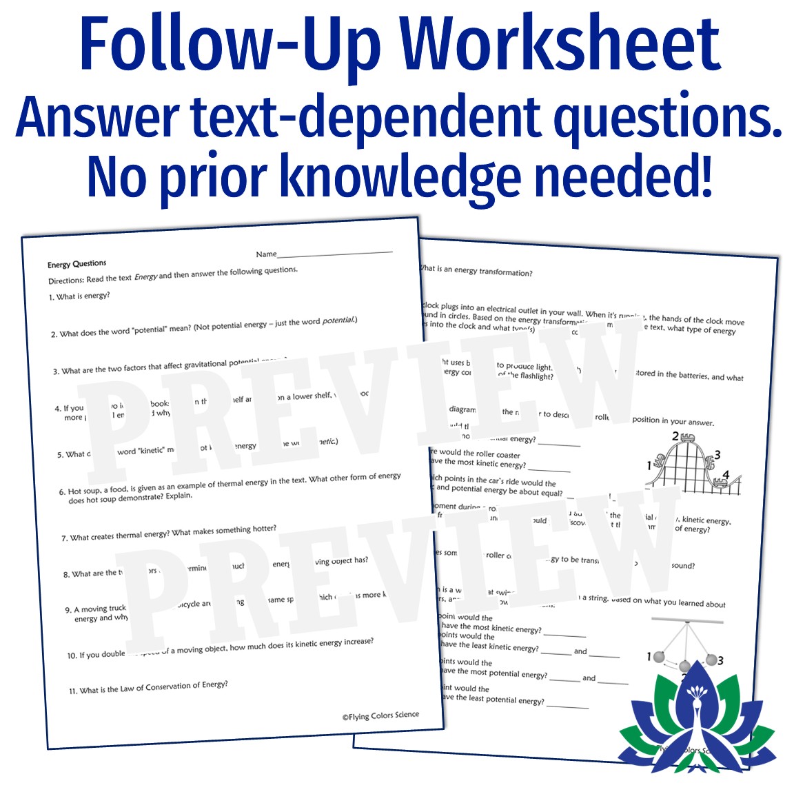 Energy Reading and Worksheet - Flying Colors Science