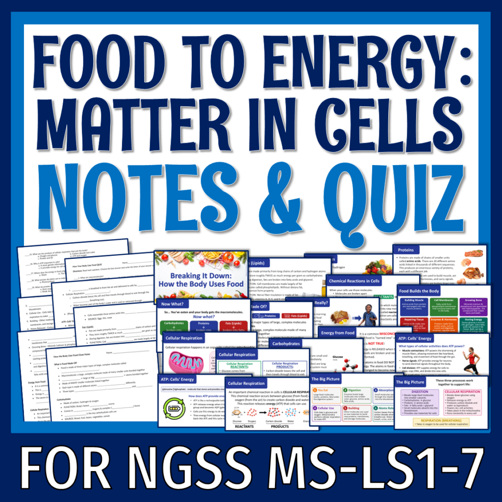 Cell Energy Unit: Photosynthesis and Cellular Respiration Activities ...